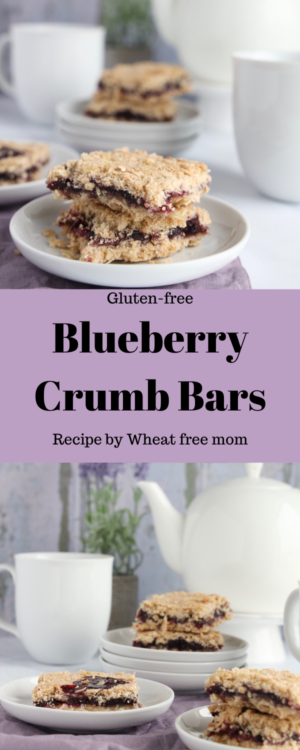 Gluten-Free Blueberry Crumb Bars | Wheat Free Mom