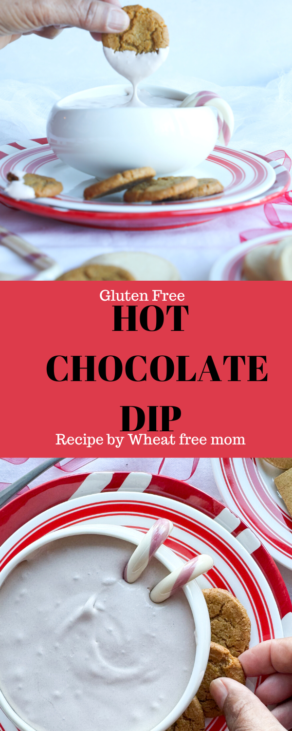 Hot Chocolate Dip Wheat Free Mom
